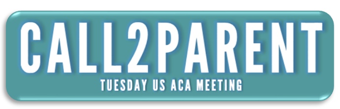 Tuesday US Meeting – Transforming Childhood Trauma Into Wholeness